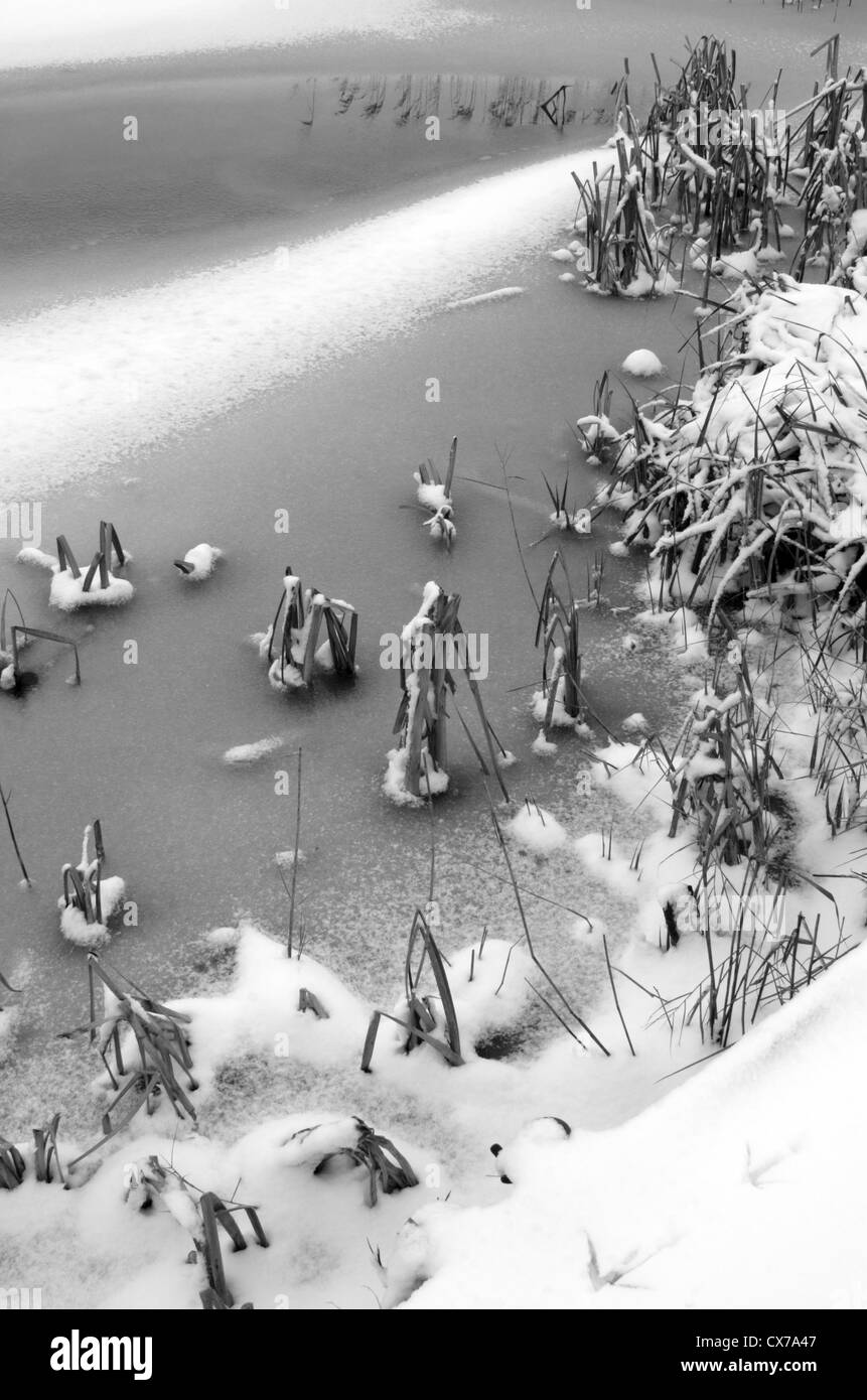 Ice and frozen lakes in uk Black and White Stock Photos & Images - Alamy