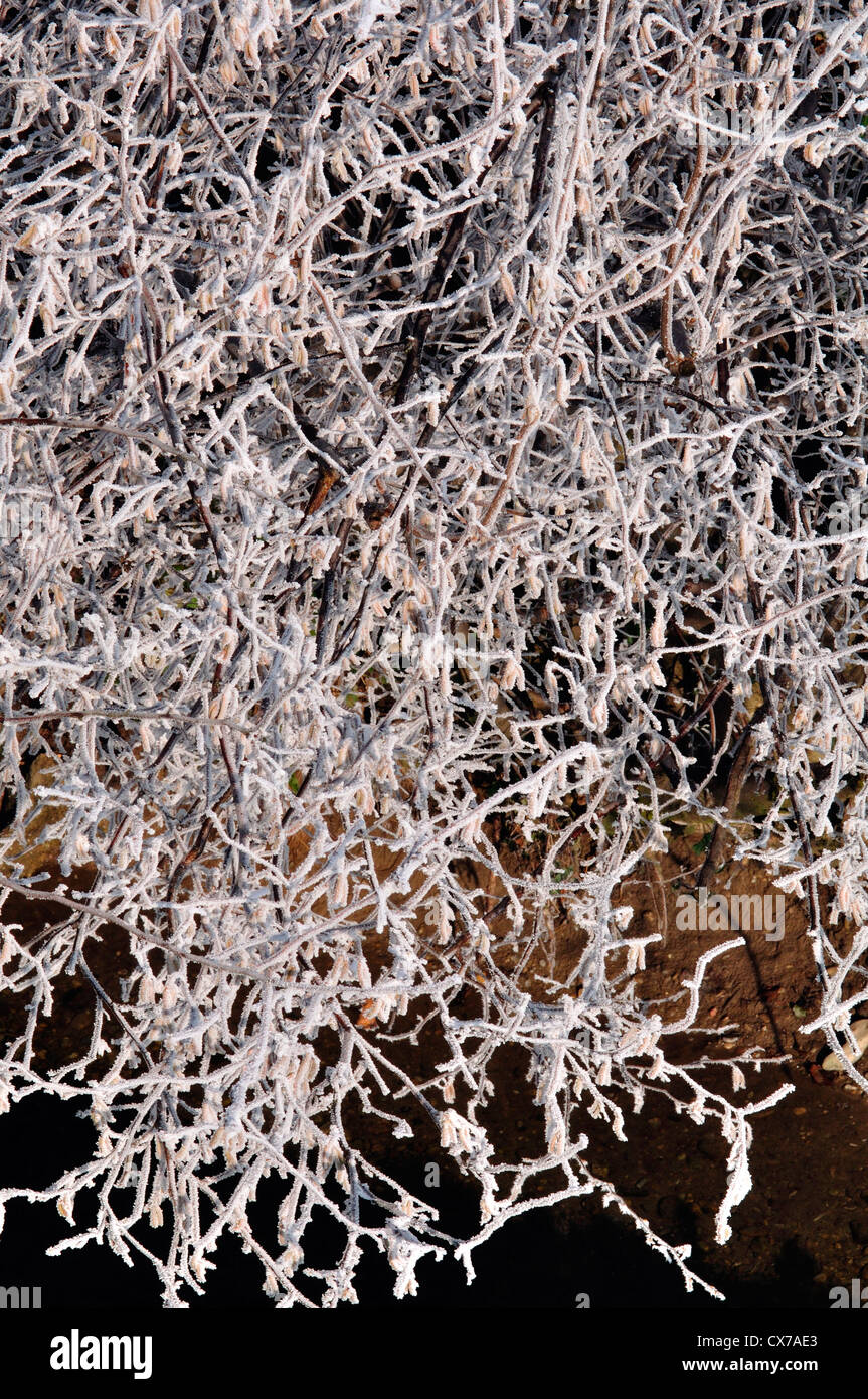 Frozen italy hi-res stock photography and images - Alamy