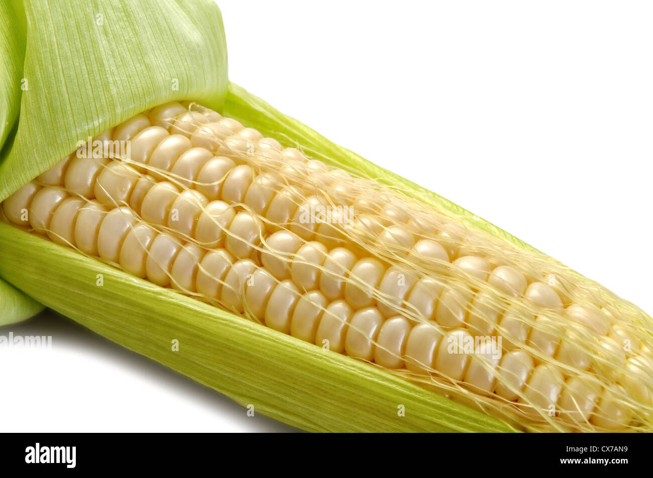 fresh sweet corn, isolated on white background Stock Photo - Alamy