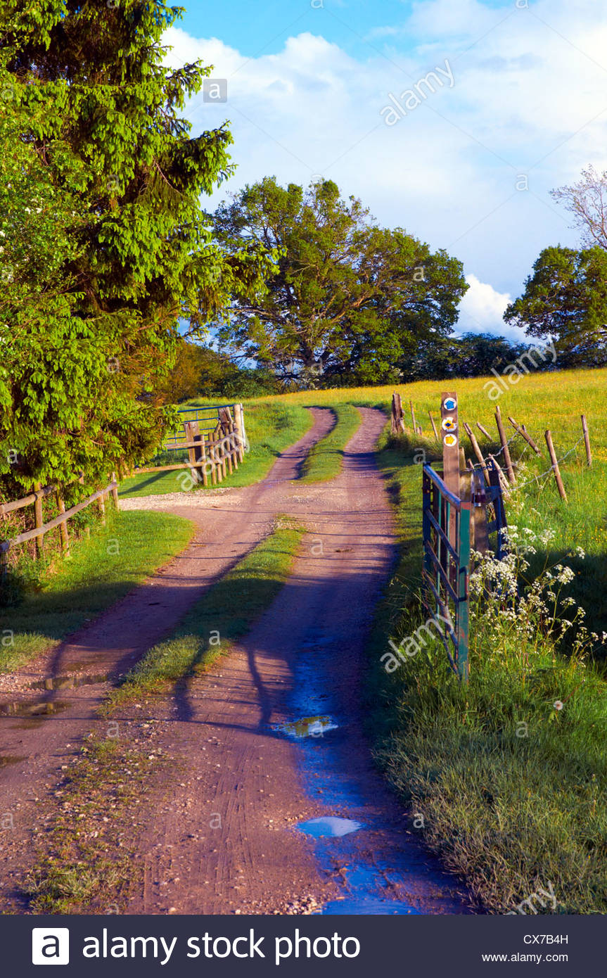 English Countryside Summer Gate Stock Photos & English Countryside ...