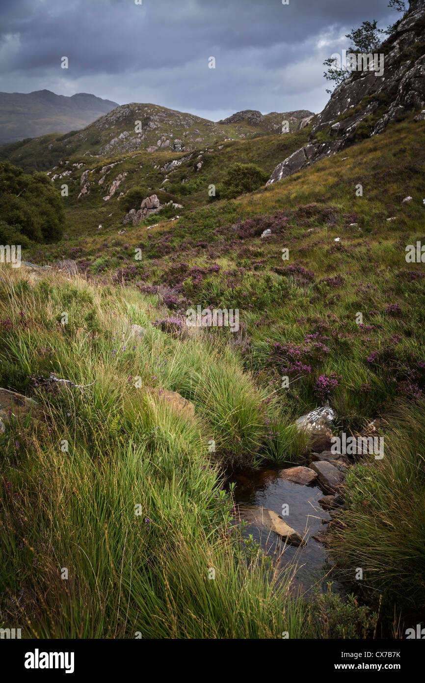 Highland burn, under stormy sky, Shieldaig, Western Highlands, Scotland ...