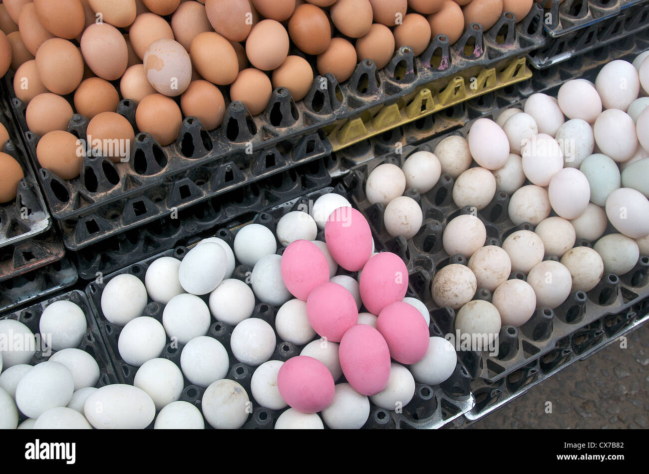 eggs on display market day Luang Prabang Laos Asia Stock Photo - Alamy