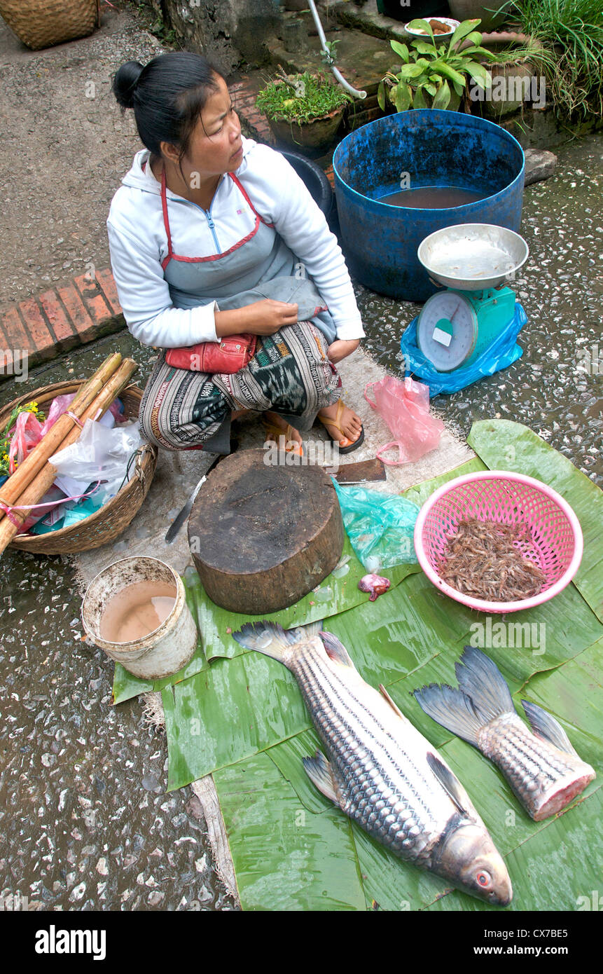 fresh fish of Mekong river on market day, Luang Prabang Laos Asia Stock ...