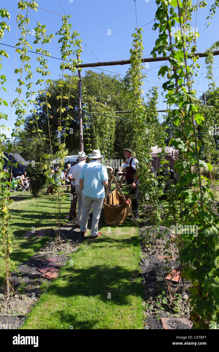 Hop Pickers High Resolution Stock Photography and Images - Alamy