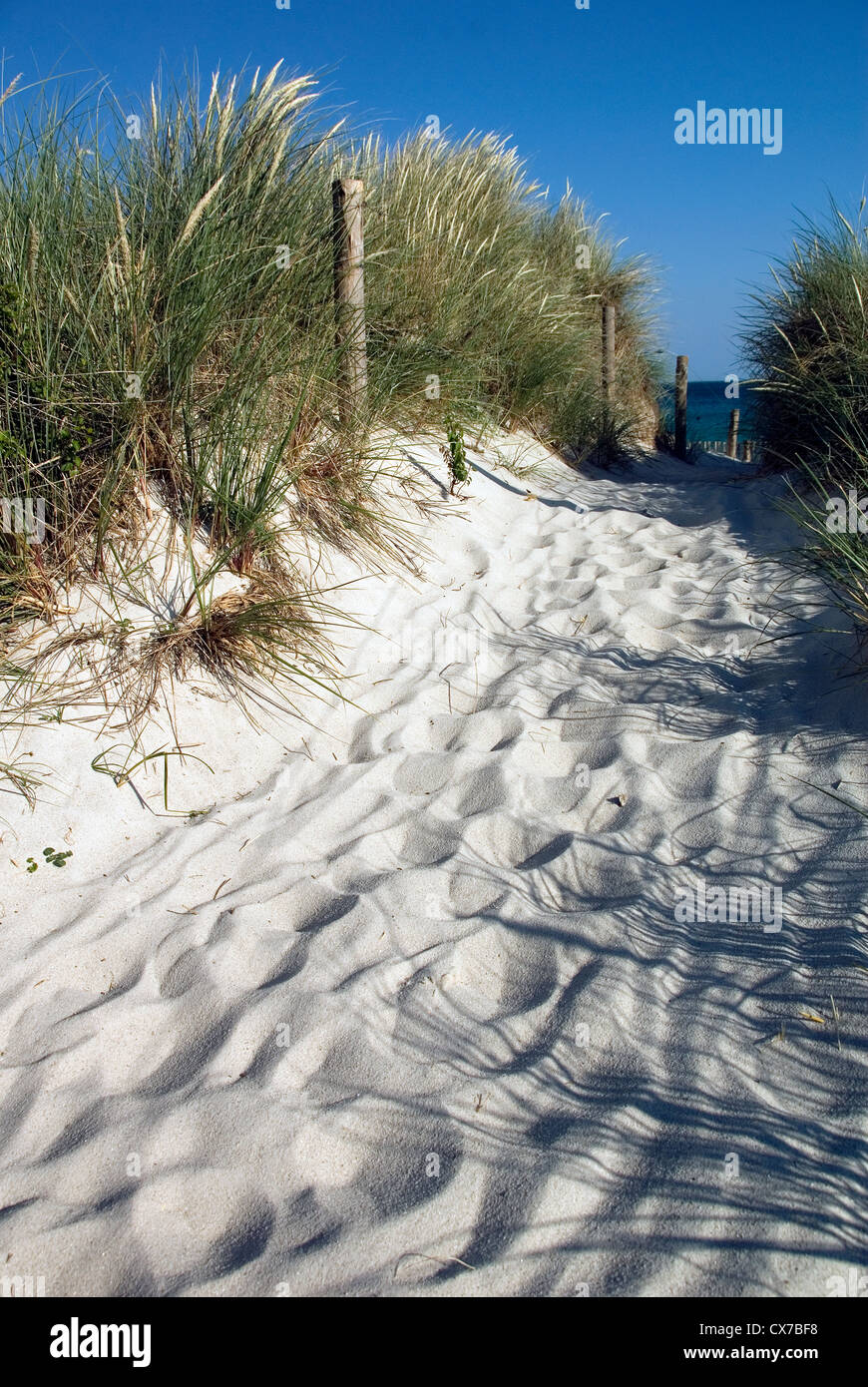 Path to the Beach Stock Photo - Alamy