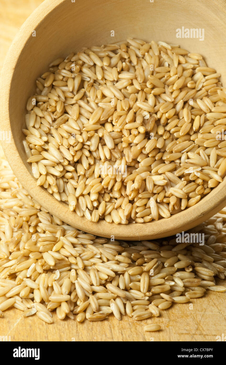 Oat seed husks hi-res stock photography and images - Alamy