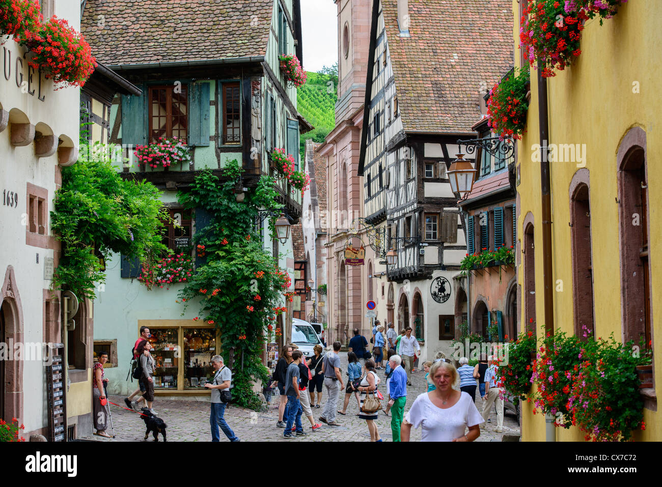 Voges france hi-res stock photography and images - Alamy