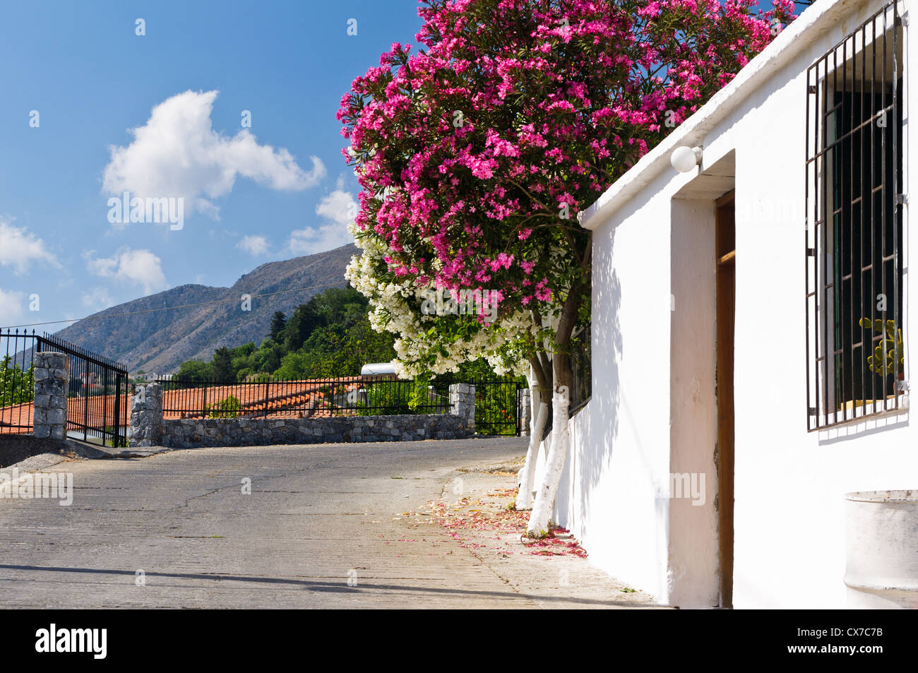 Colors of the mediterranean hi-res stock photography and images - Alamy