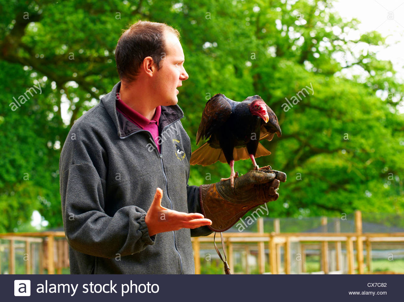 Bird Handler High Resolution Stock Photography and Images - Alamy
