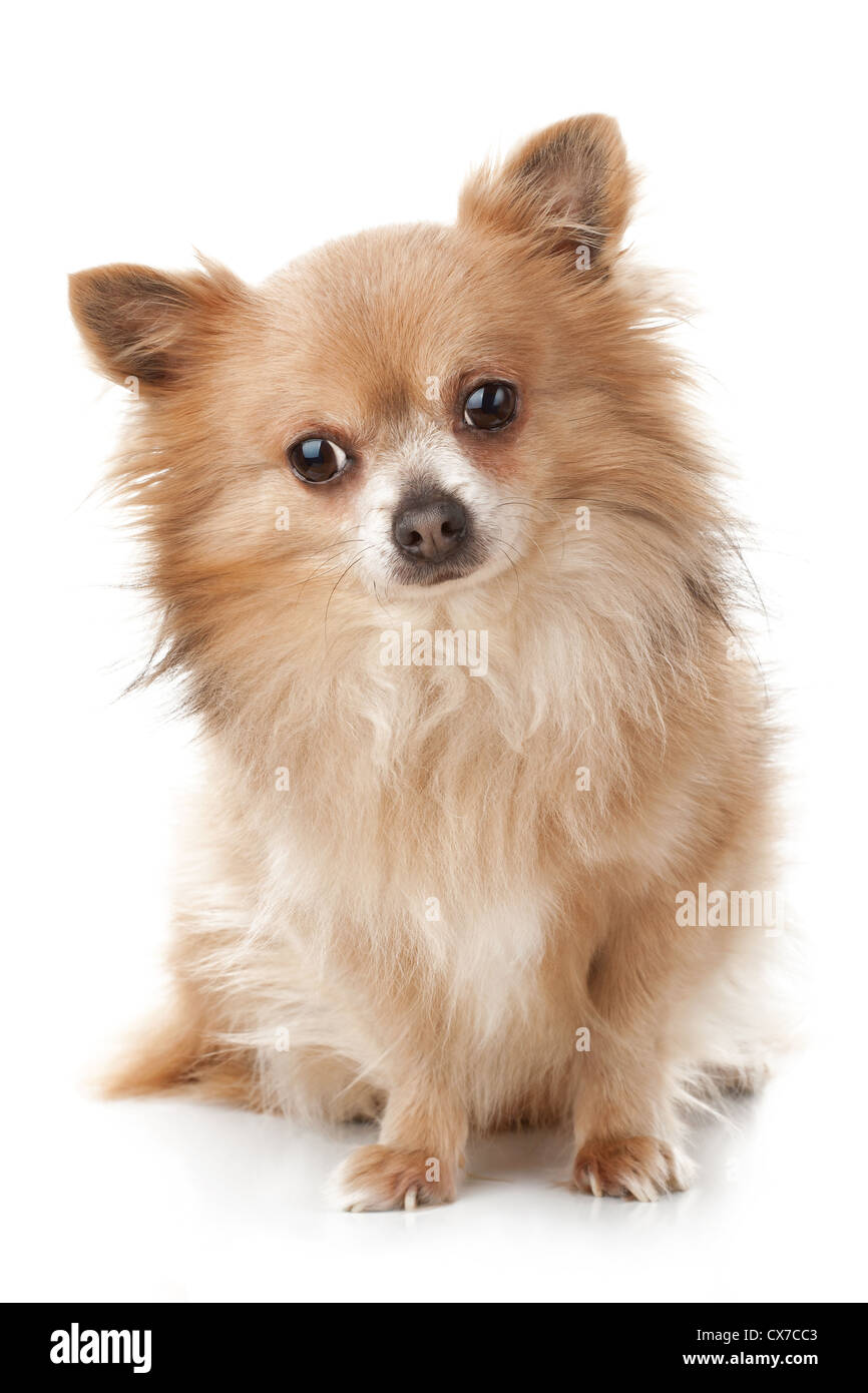 Front shot beautiful sad Cut Out Stock Images & Pictures - Alamy