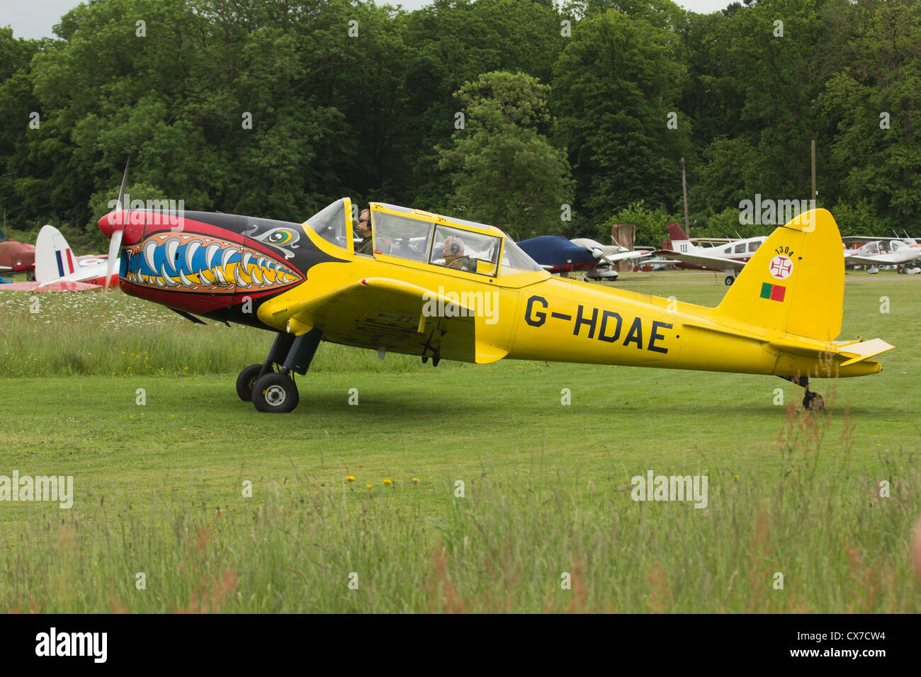de Havilland DHC-1 Chipmunk Trainer Aircraft Teeth Stock Photo - Alamy