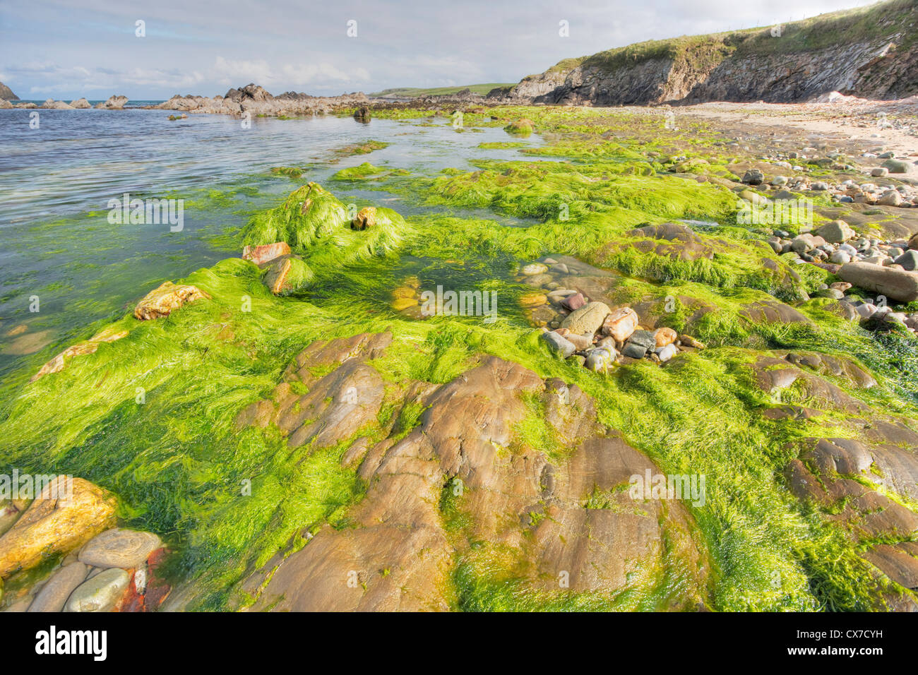 Bigton shetland hi-res stock photography and images - Alamy