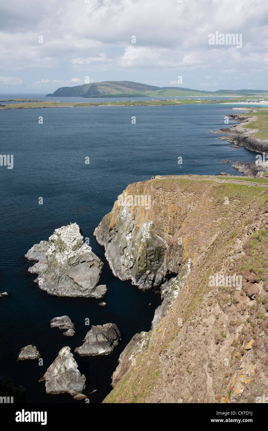 Shetland landscape hi-res stock photography and images - Alamy