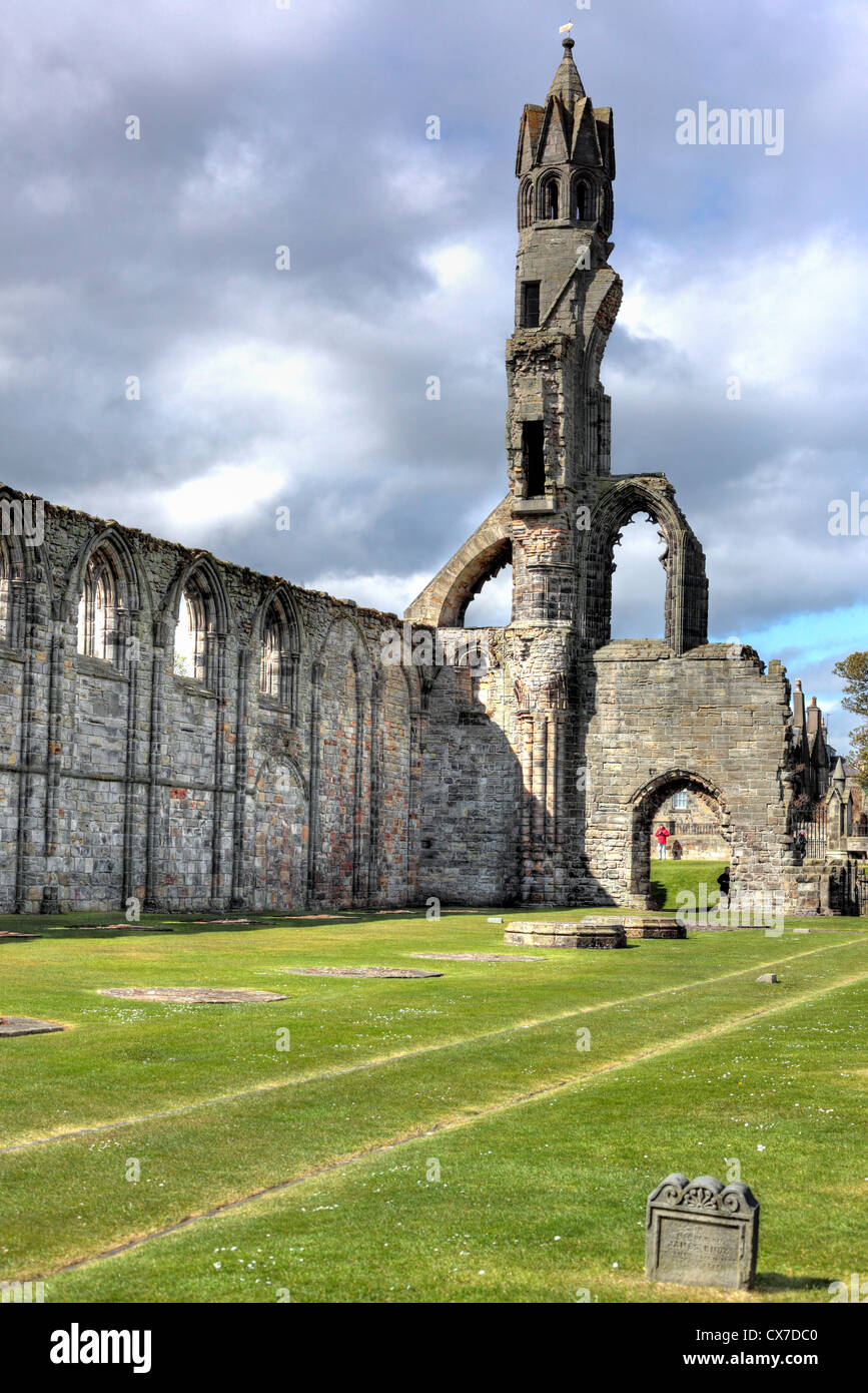 St Andrews Cathedral, St Andrews, Fife, Scotland, UK Stock Photo - Alamy