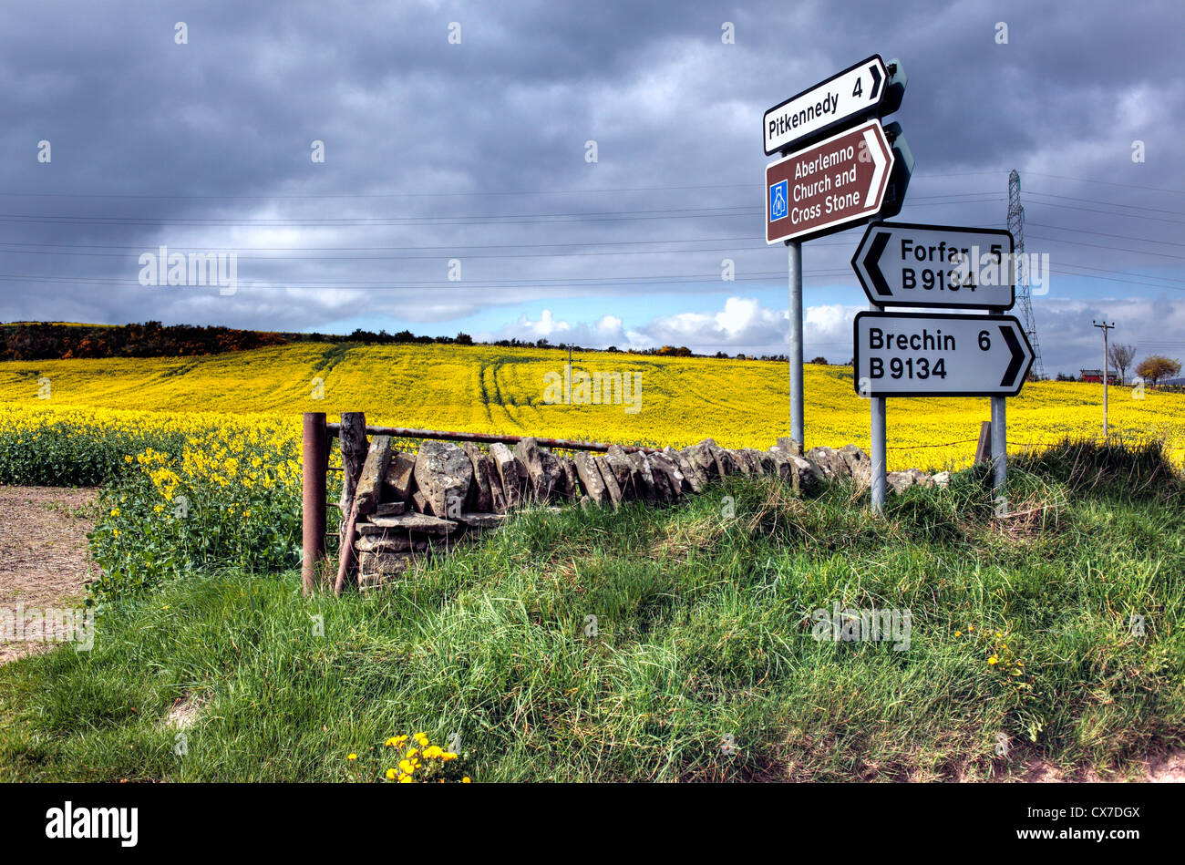Landscape angus hi-res stock photography and images - Alamy