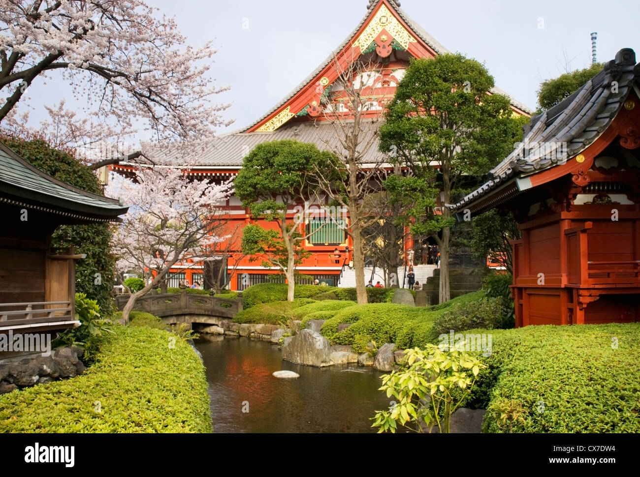 Japanese Temple Garden With Stream And Stone Bridge; Tokyo, Japan Stock ...