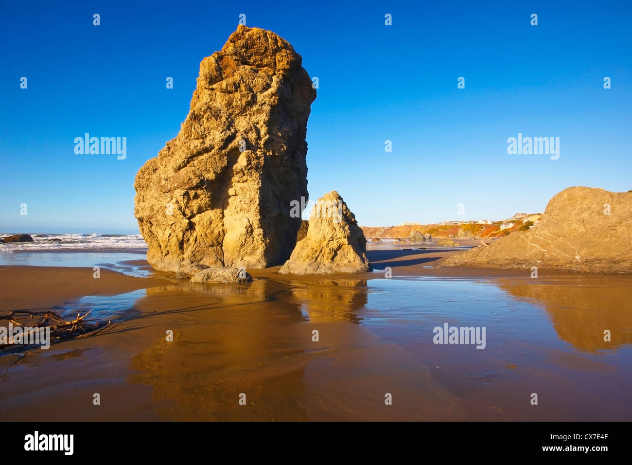 Rock Formations At Low Tide On Bandon Beach; Oregon, United States Of ...