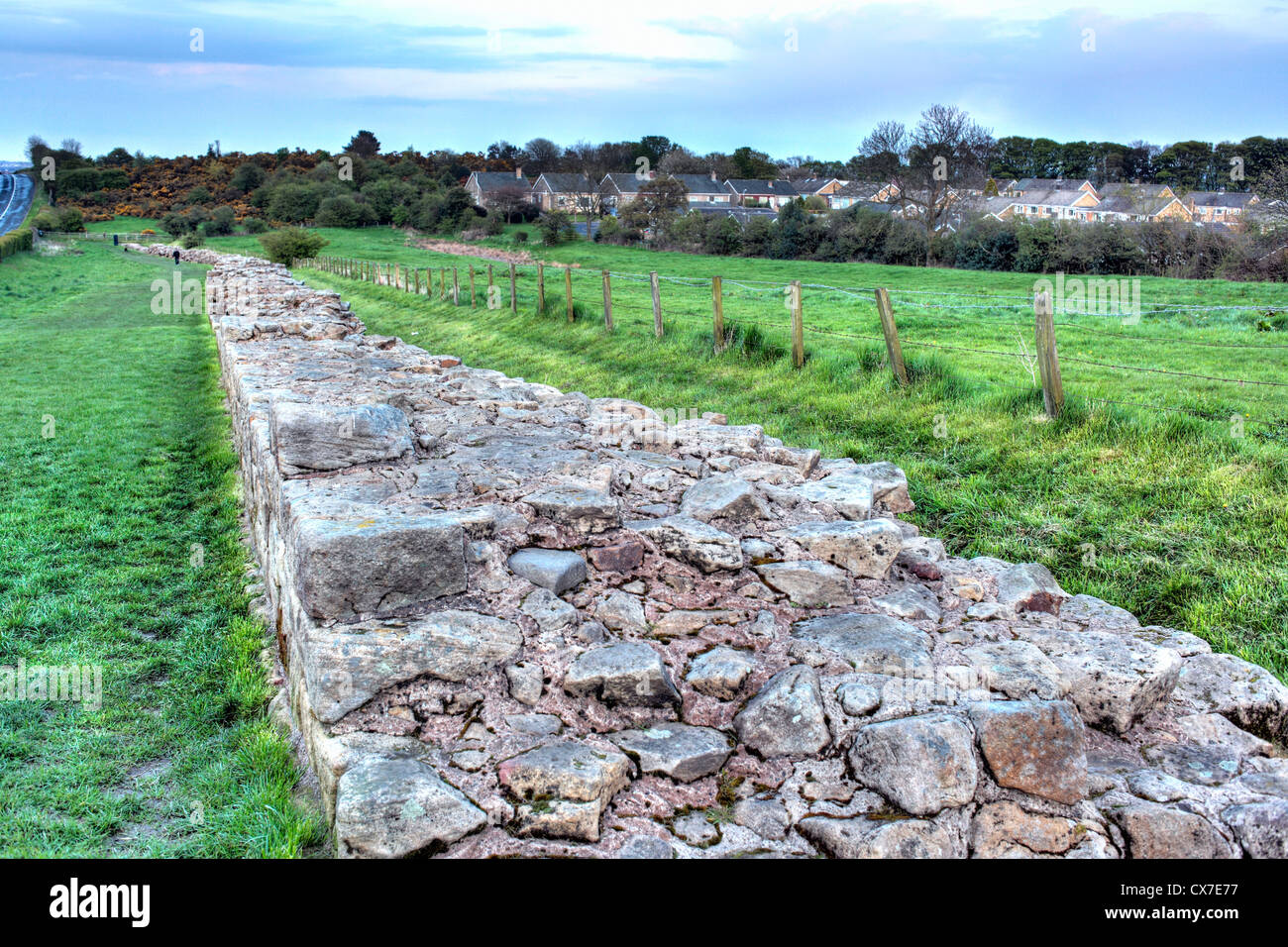 Remains of Hadrian's Wall, Heddon, near Newcastle upon Tyne, North East ...