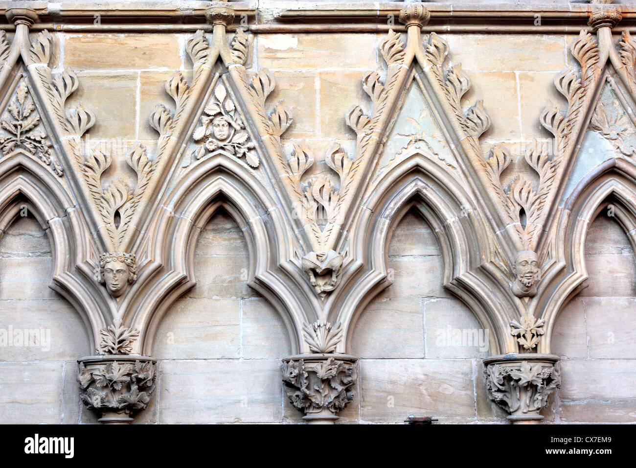 Carved foliage in chapter house, Southwell Minster, Southwell ...