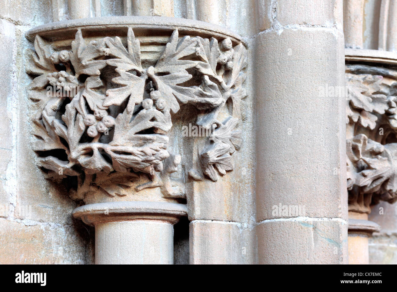 Carved foliage in chapter house, Southwell Minster, Southwell ...
