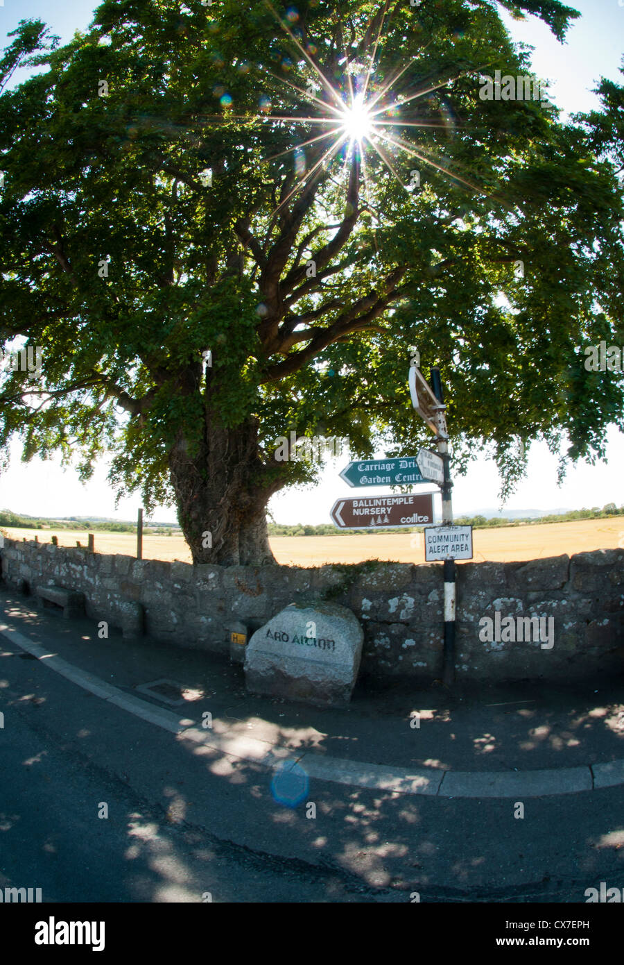 Rays sunshine way through hi-res stock photography and images - Alamy