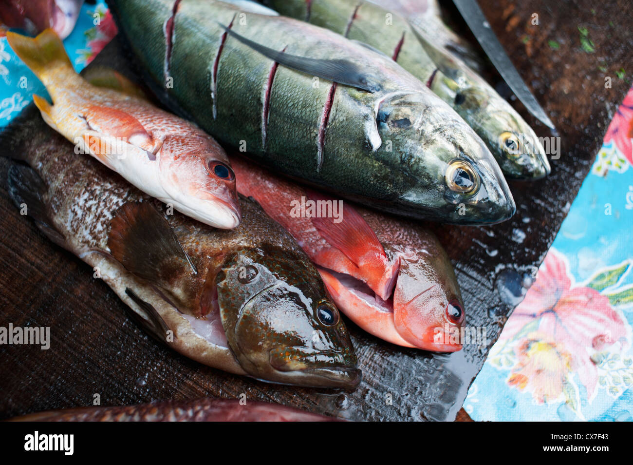 Variety Of Caught Fish In A Row; Yelapa, Jalisco, Mexico Stock Photo ...