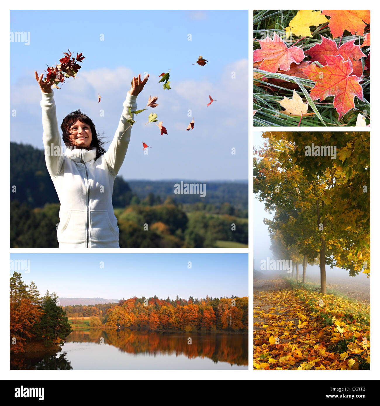 Collage made with autumn related images Stock Photo - Alamy