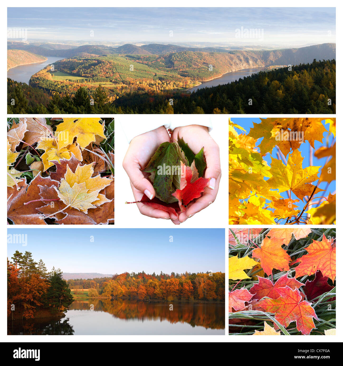 Collage made with autumn related images Stock Photo - Alamy