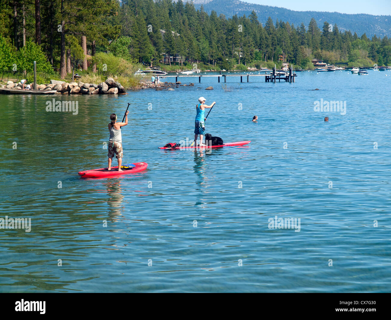 Paddling on an oversize surfboard on lake Tahoe Stock Photo - Alamy
