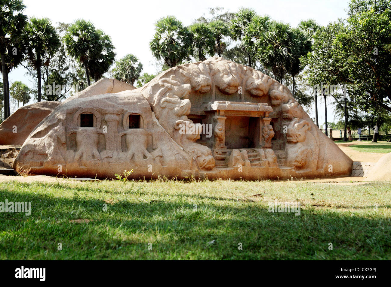 Tiger india temple hi-res stock photography and images - Alamy