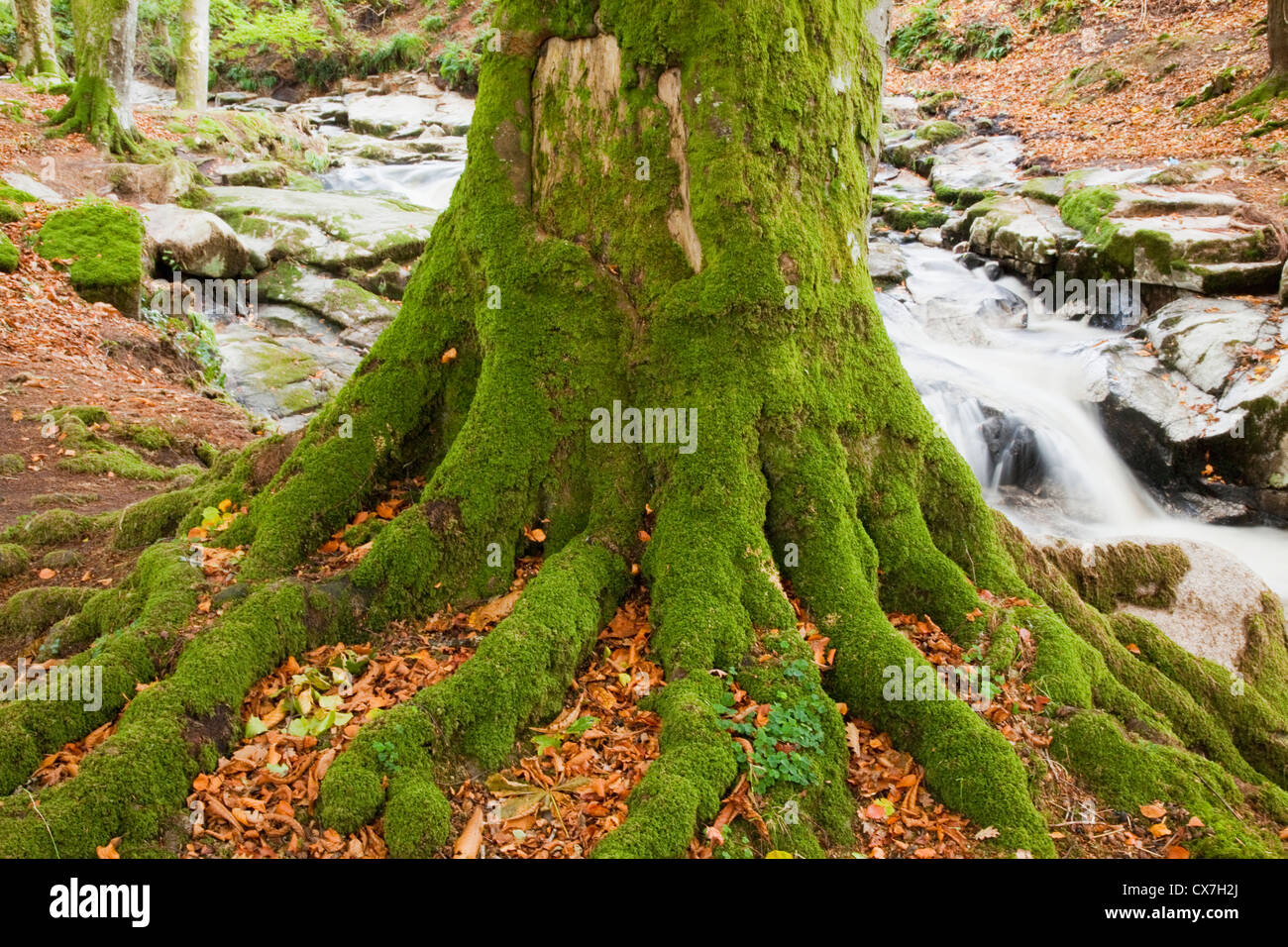Wicklow colours hi-res stock photography and images - Alamy