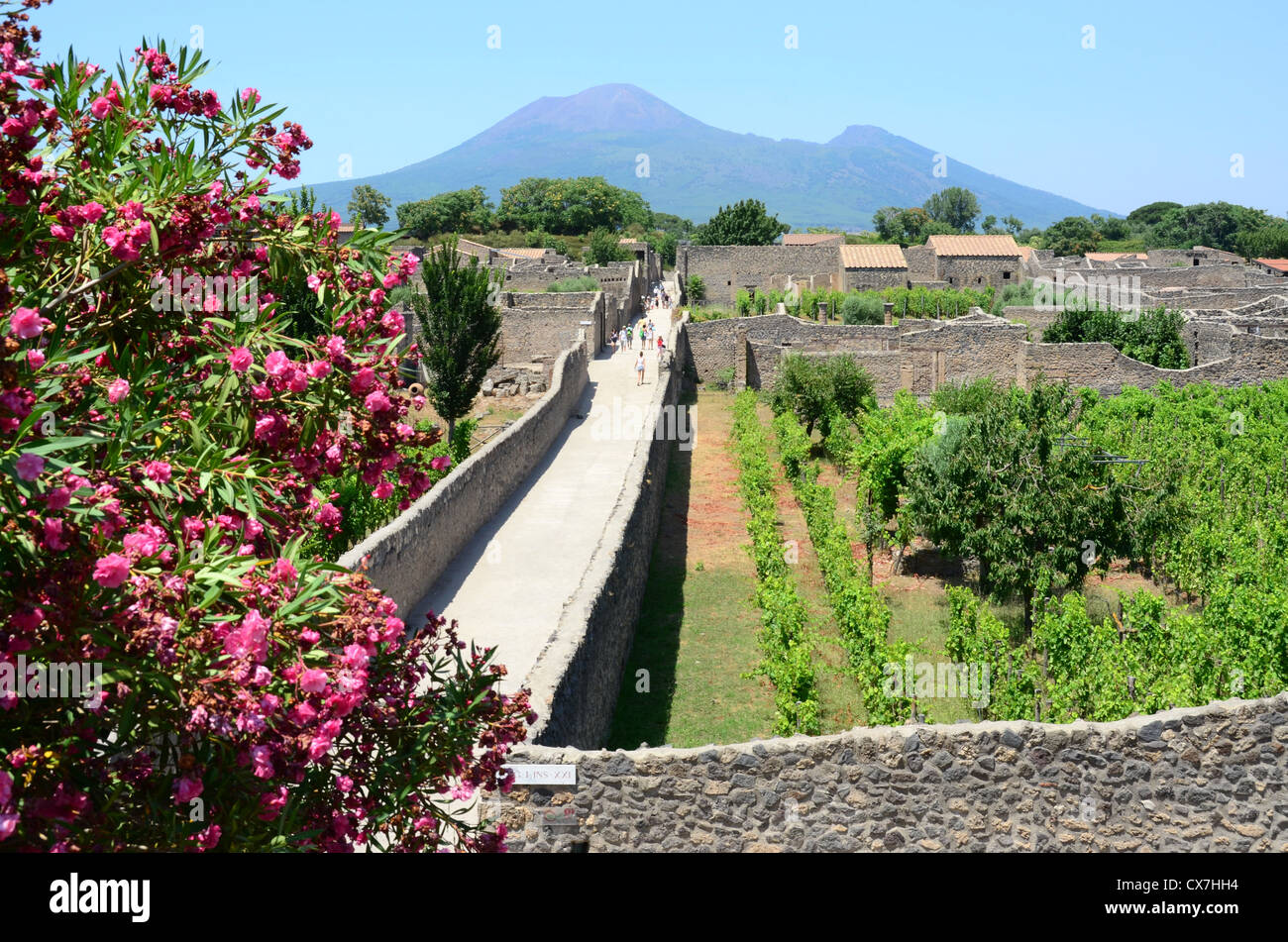 Pompeii ruins Vesuvius backdrop Stock Photo - Alamy
