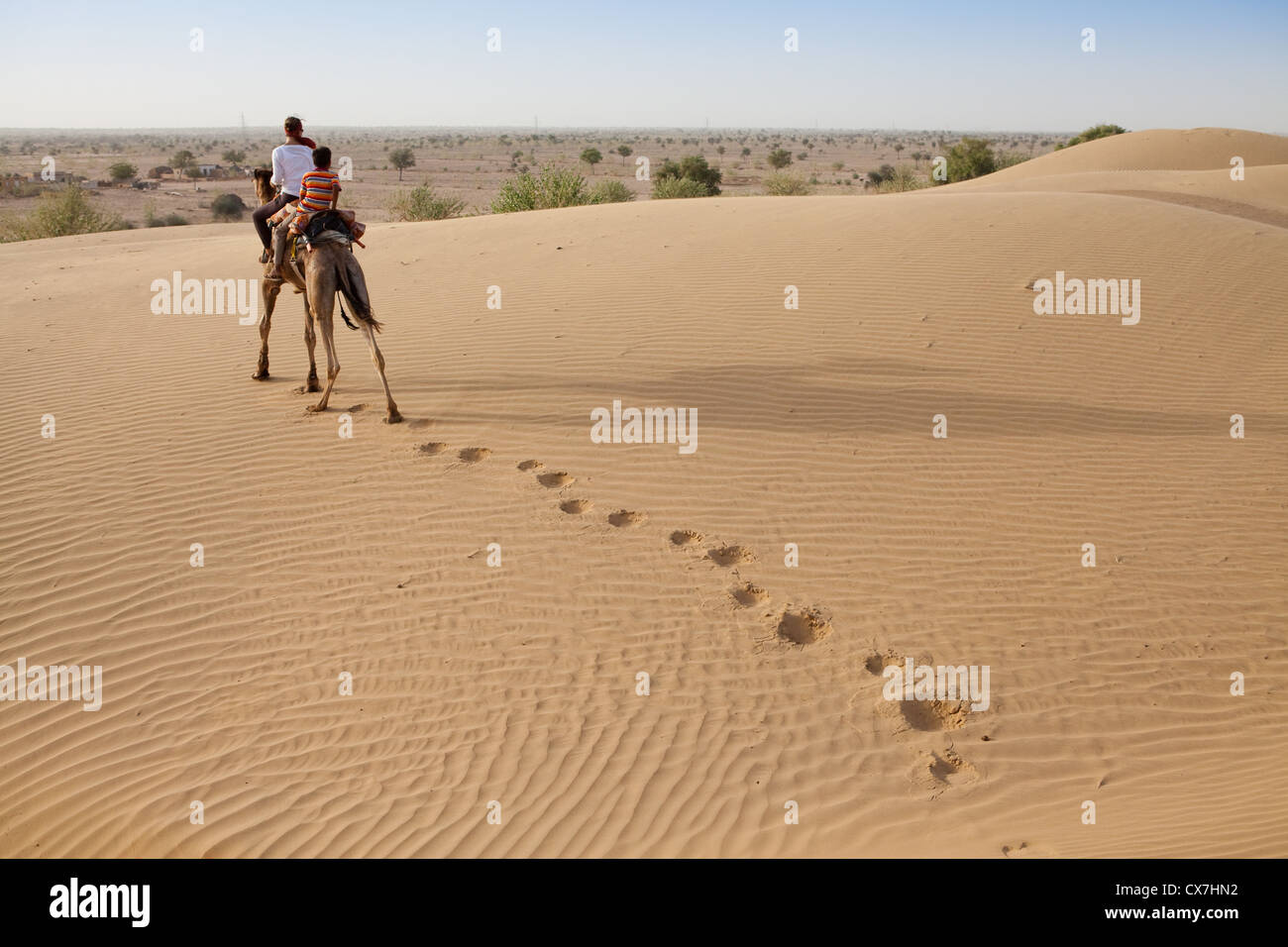 Camel ride in the Thar desert, Rajasthan, India Stock Photo - Alamy
