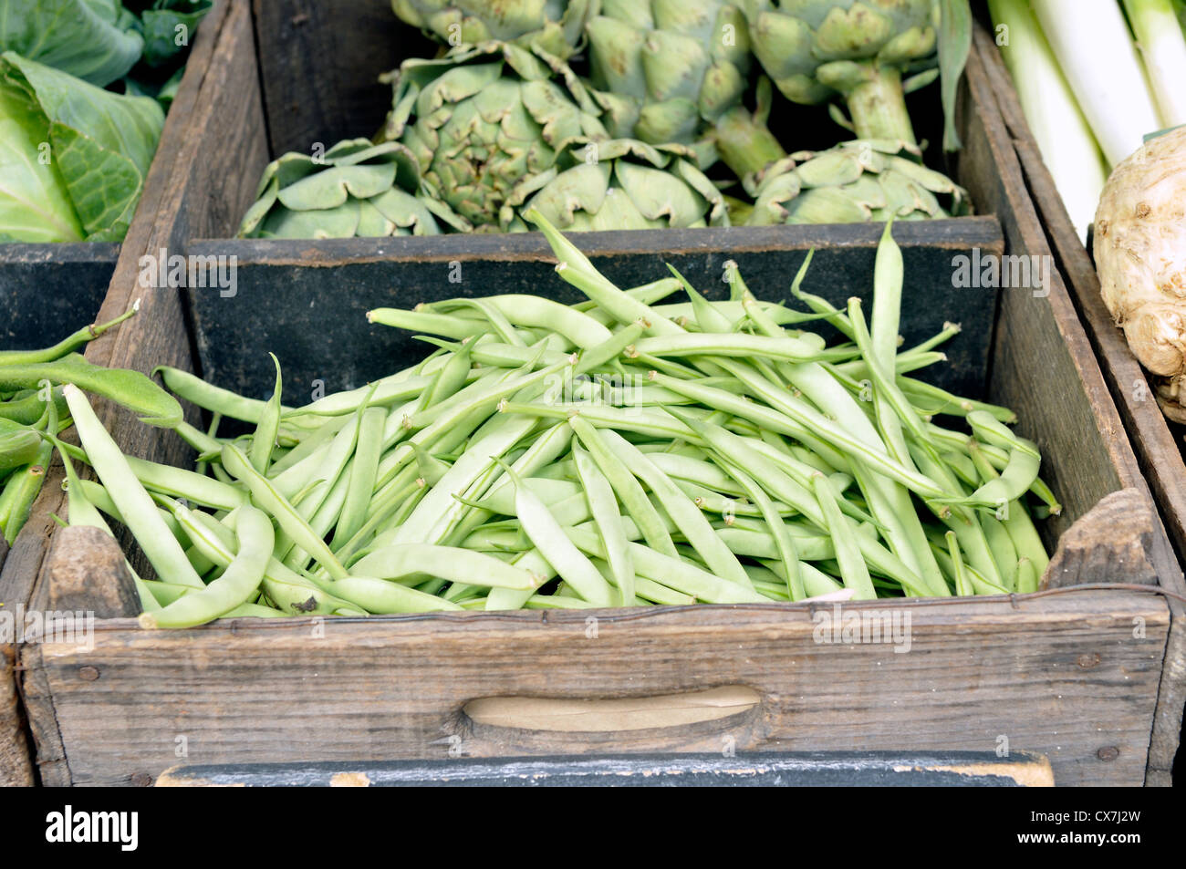 Small String Bean Stock Photo - Alamy