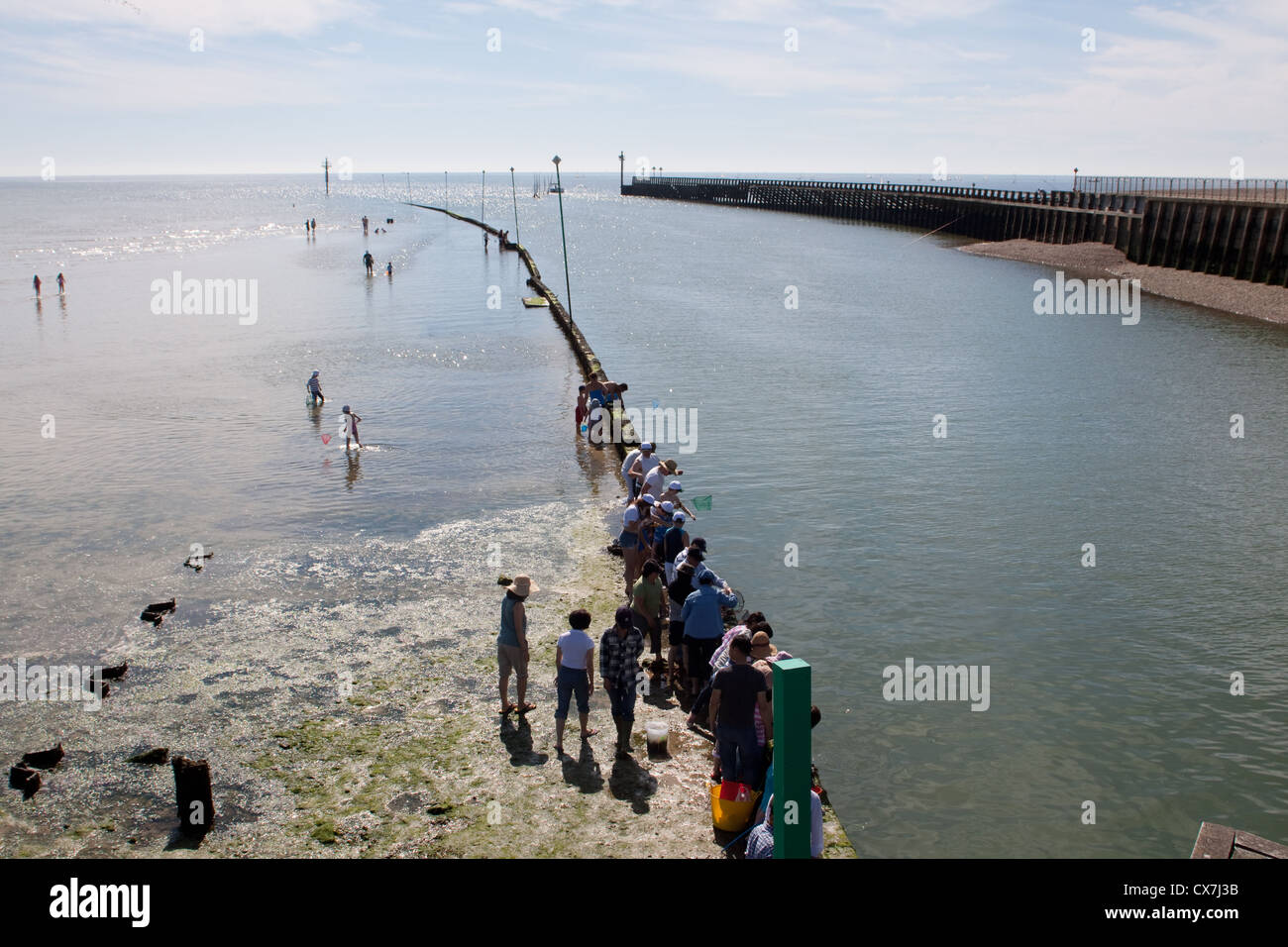Crabbing Beach Stock Photos & Crabbing Beach Stock Images - Alamy