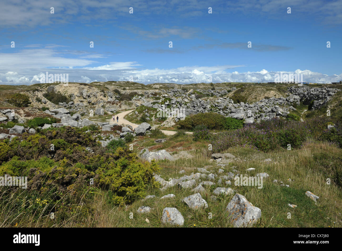 The sculpture trail at Tout Quarry, Portland winds its way through ...
