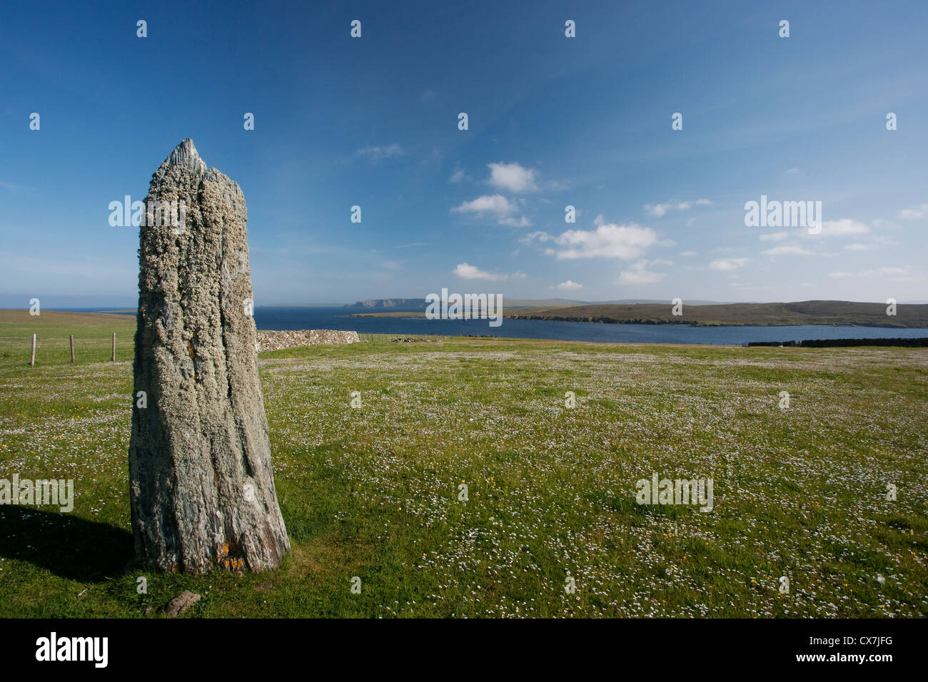 Standing Stone at Clivocast Unst, Shetland, UK LA005838 Stock Photo - Alamy