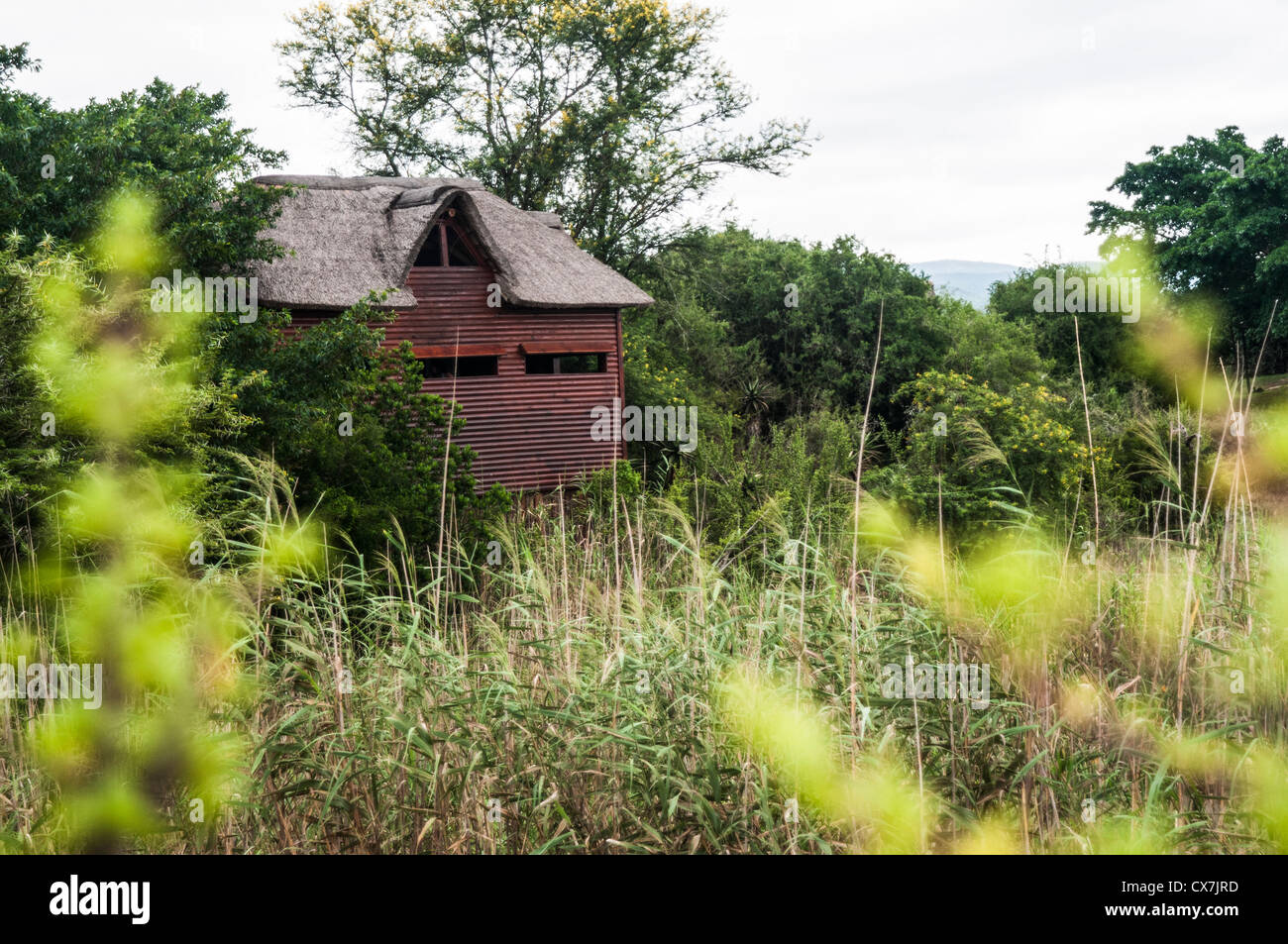 Addo National Park Stock Photo - Alamy