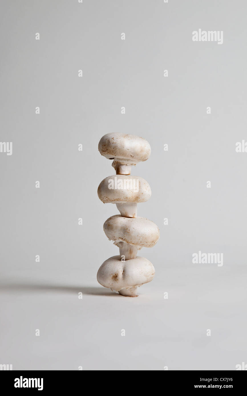Four mushrooms arranged in a stack, studio shot Stock Photo - Alamy