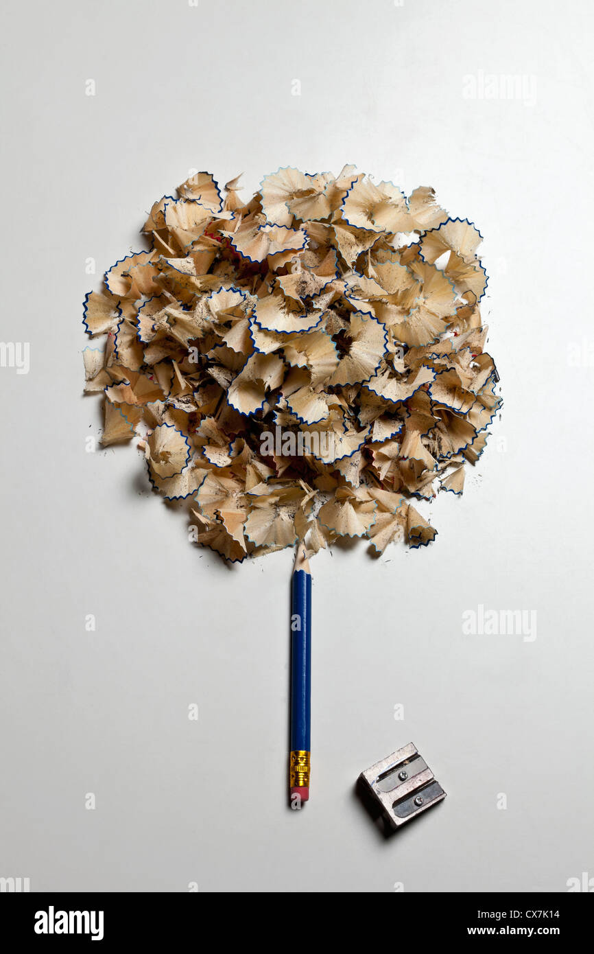 A pencil and pencil shavings made to look like a tree Stock Photo - Alamy