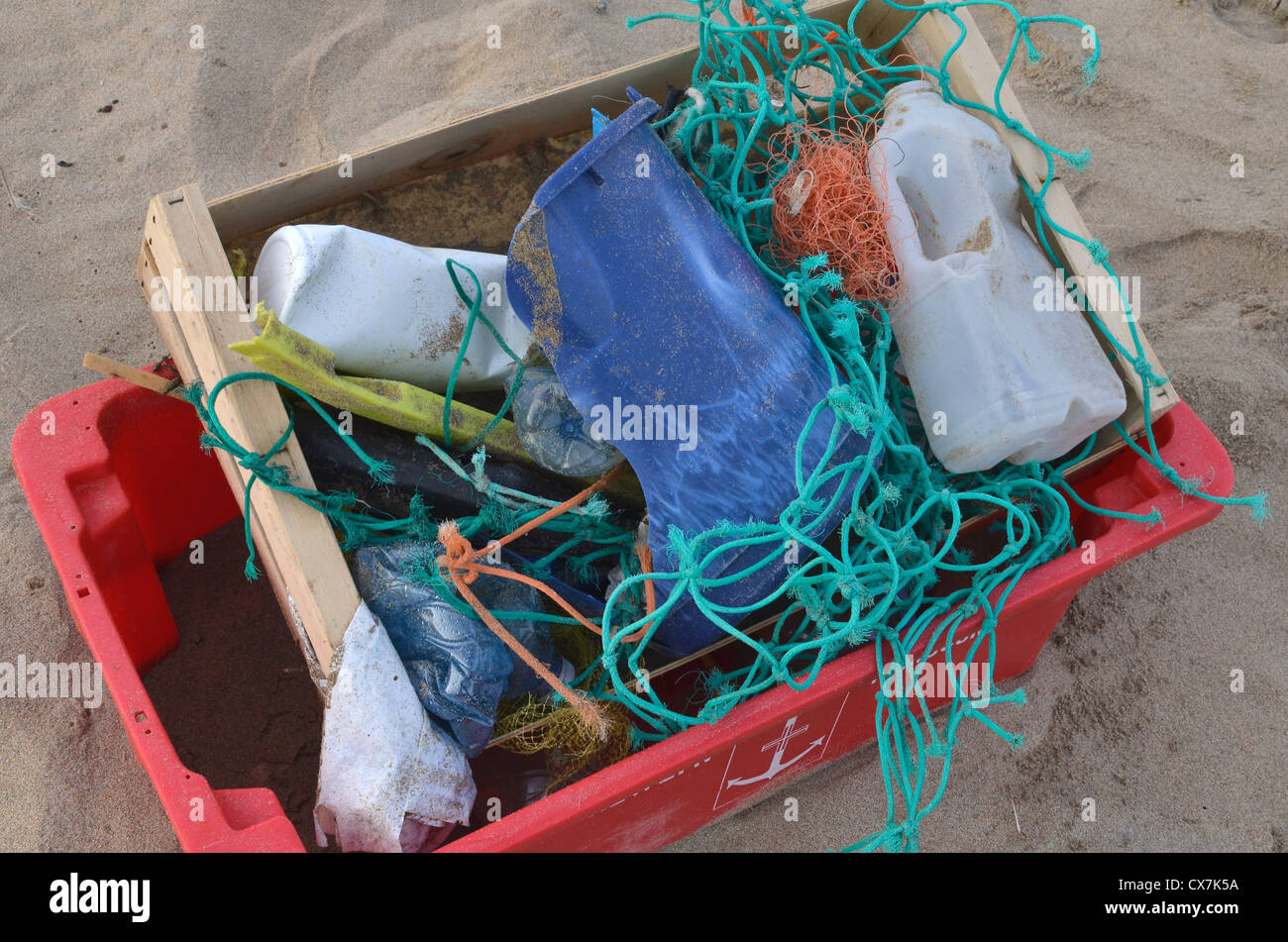 Collection of assorted flotsam / shoreline rubbish on sandy beach ...