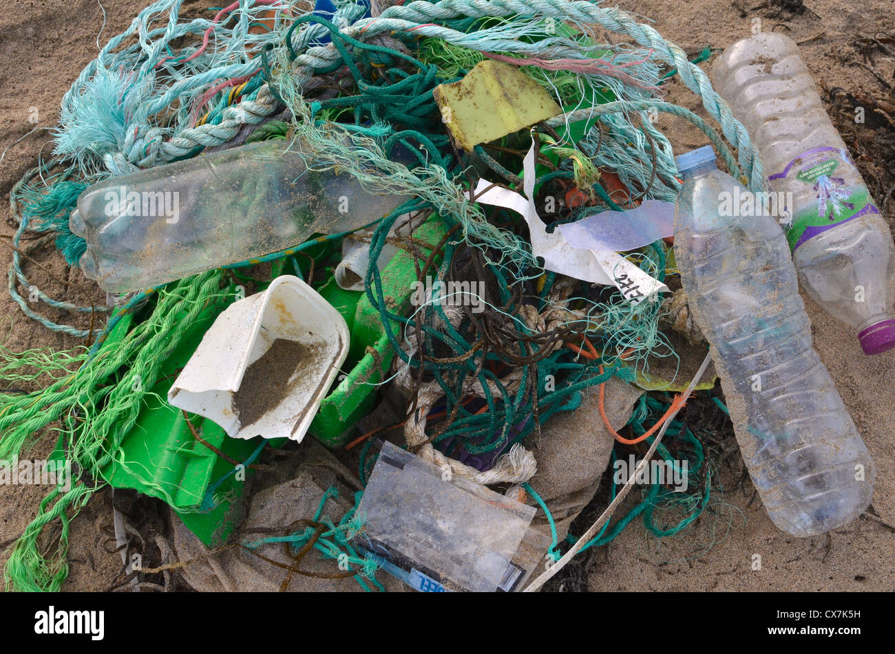 Collection of assorted flotsam / shoreline rubbish on sandy beach ...