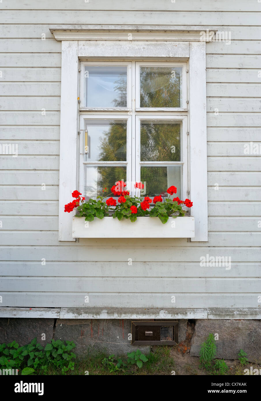 Window and flowerbed Stock Photo - Alamy