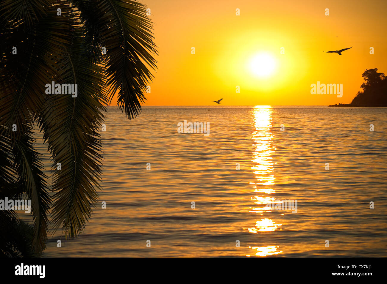 Beautiful sunset on seashore Stock Photo - Alamy