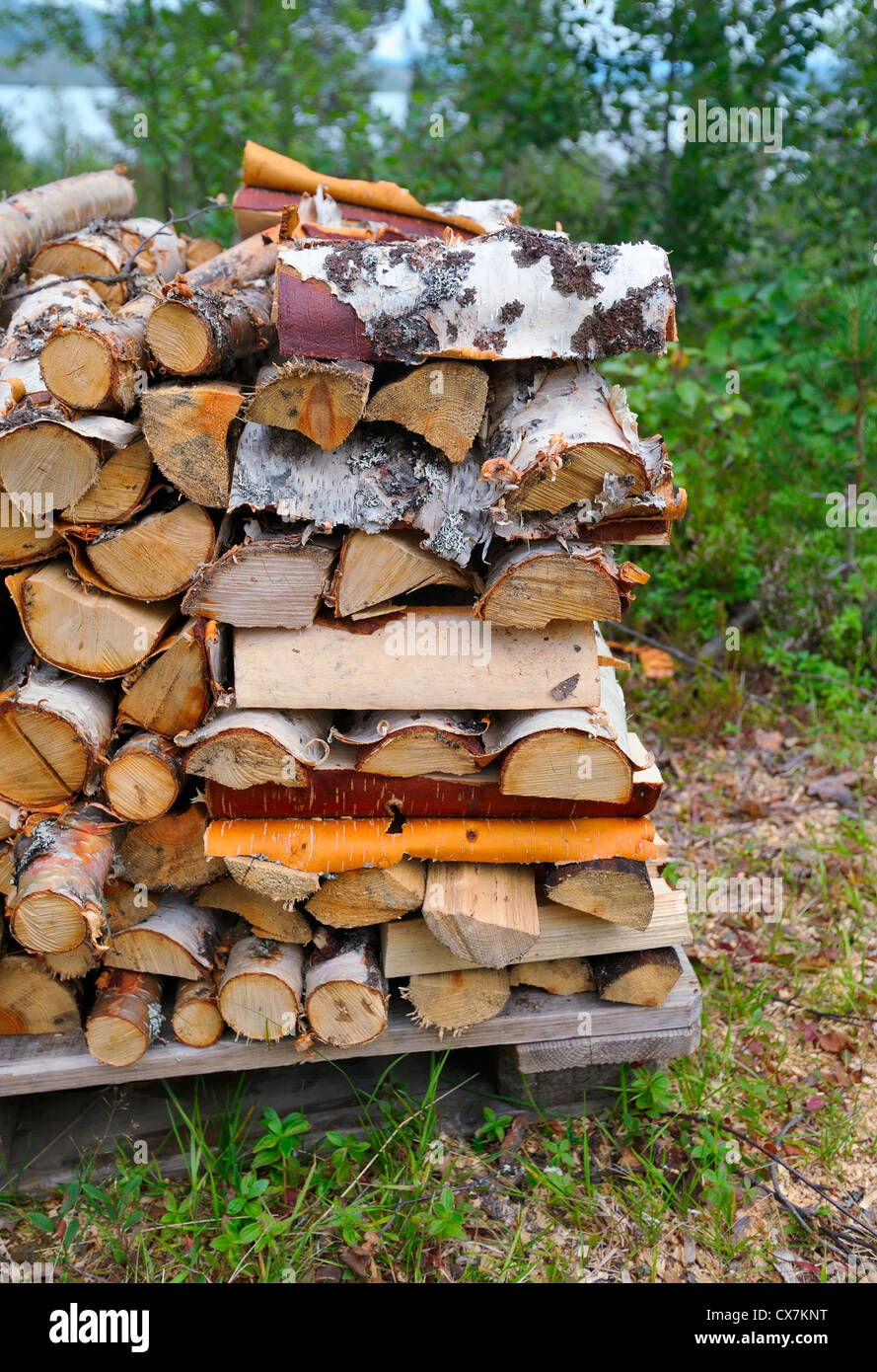 Dry firewood in a pile Stock Photo - Alamy