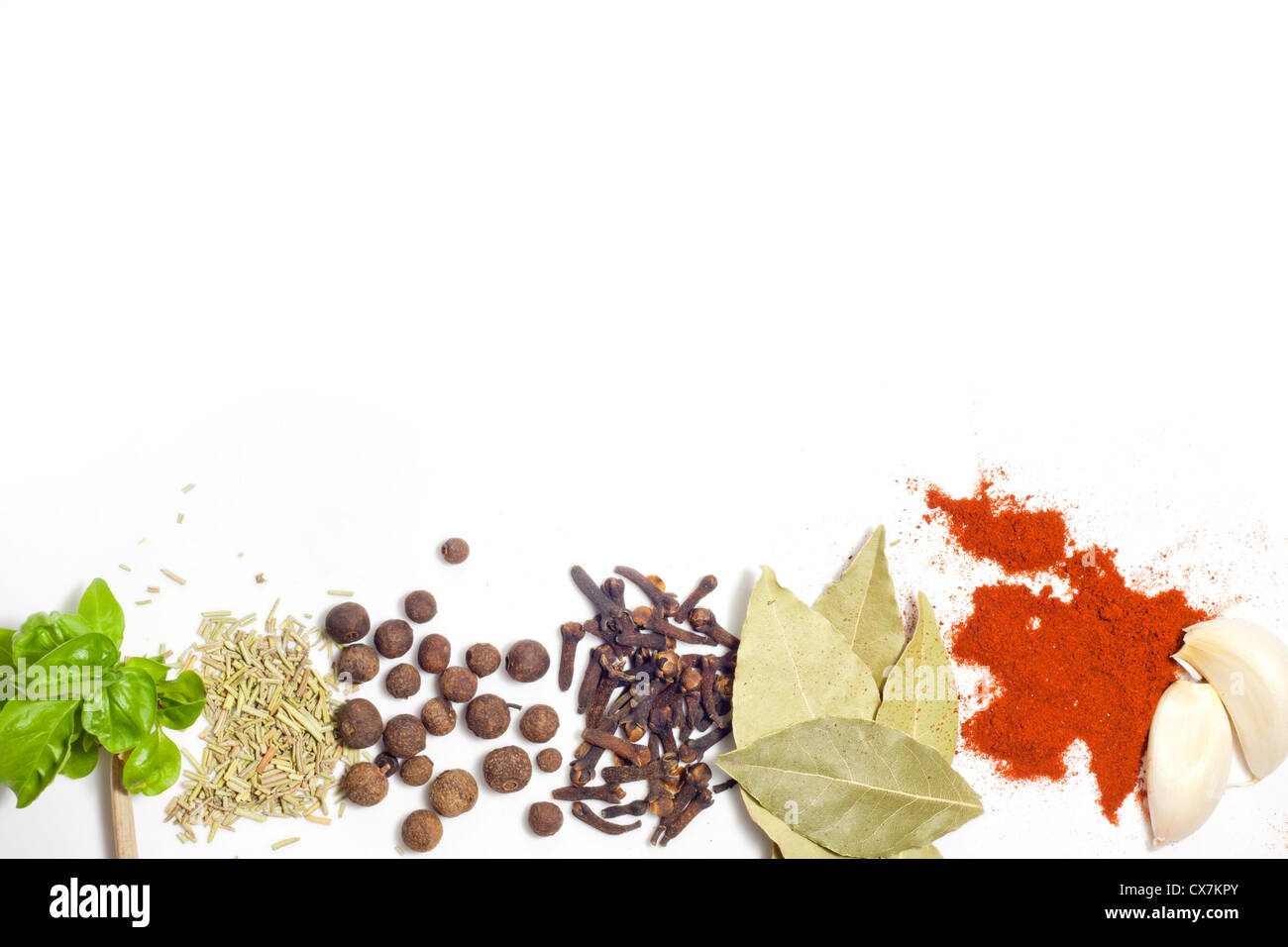 Herbs and spices border on white background Stock Photo - Alamy