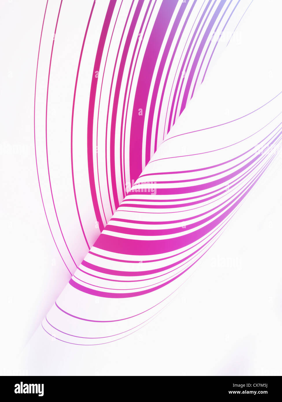 Purple curved lines hi-res stock photography and images - Alamy