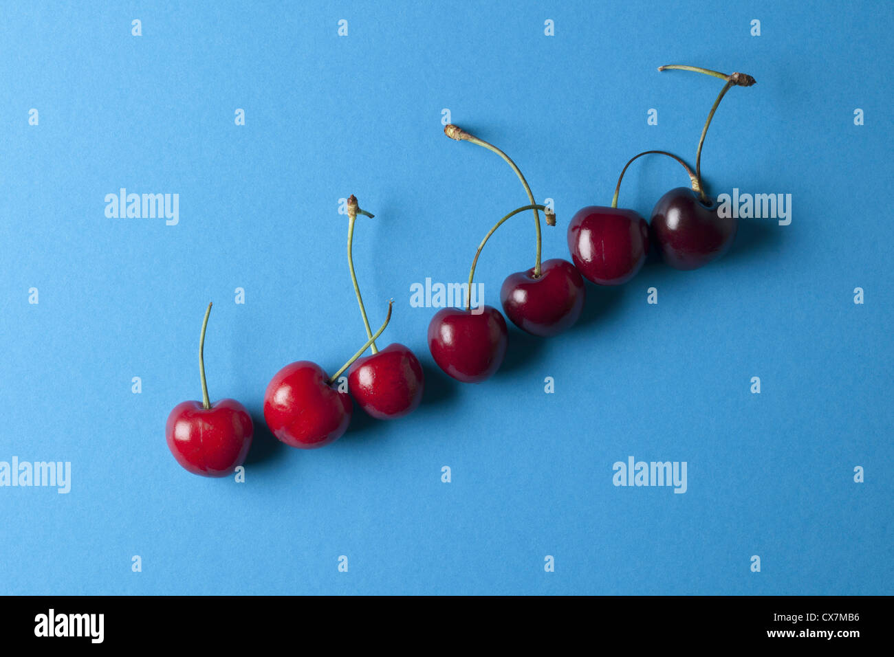A row of ascending cherries with stems Stock Photo - Alamy