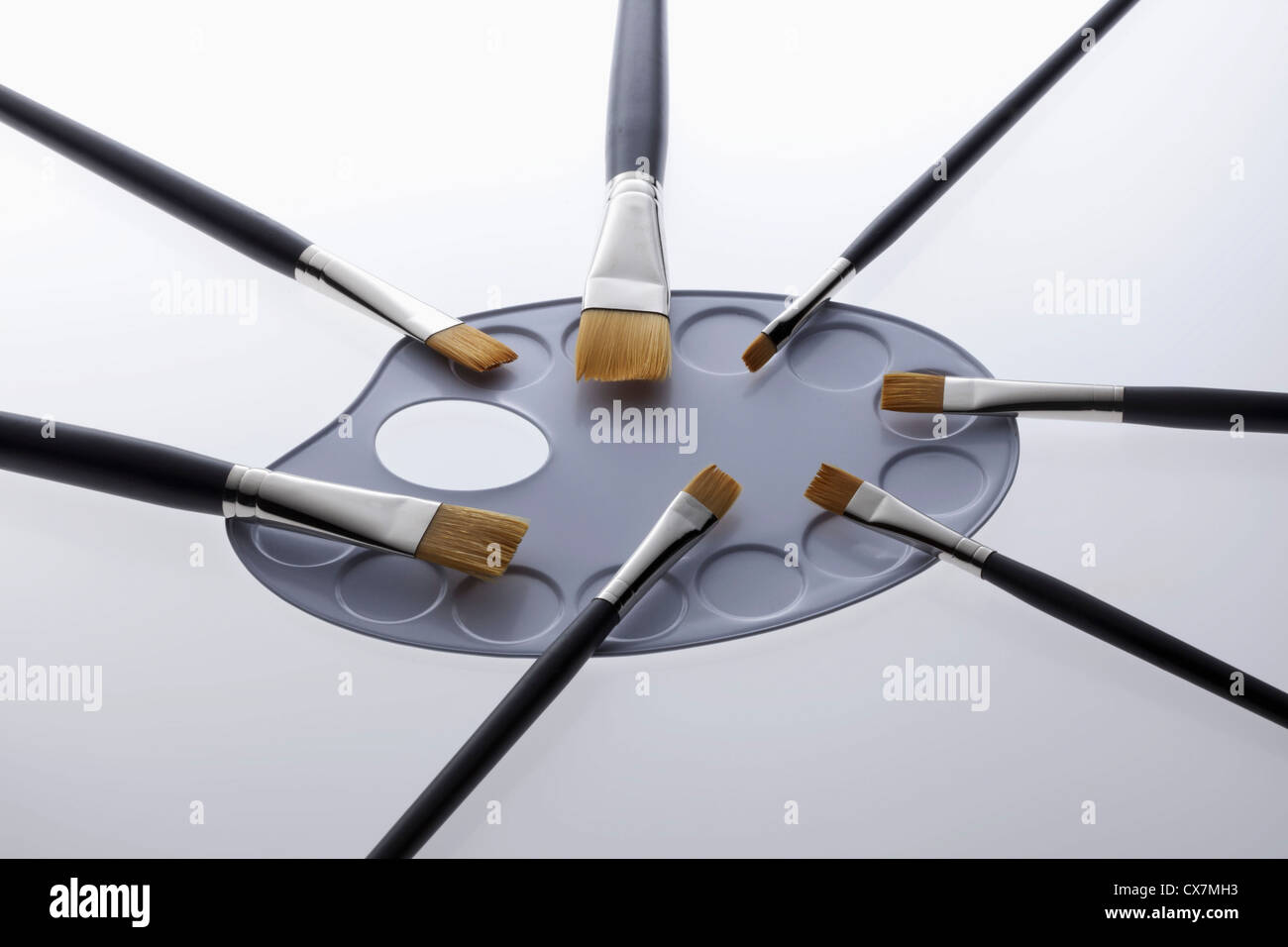 A new clean palette with new clean various sized paintbrushes Stock ...