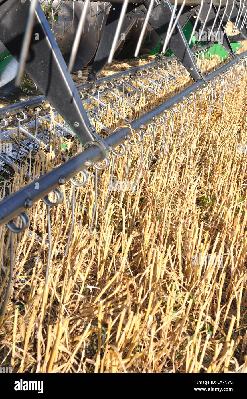 Combine cutting wheat hi-res stock photography and images - Alamy